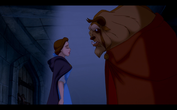 Emily's Pretty Disney Princess Blog: Belle