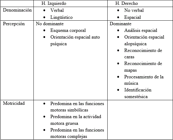 Neuroeducación y actividad física: Hemisferios cerebrales