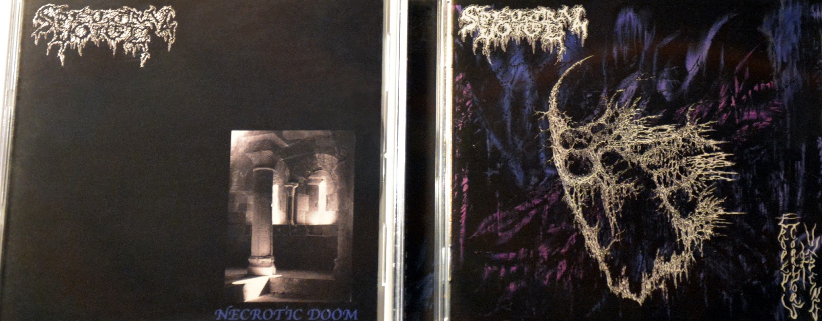 Spotlight - SPECTRAL VOICE