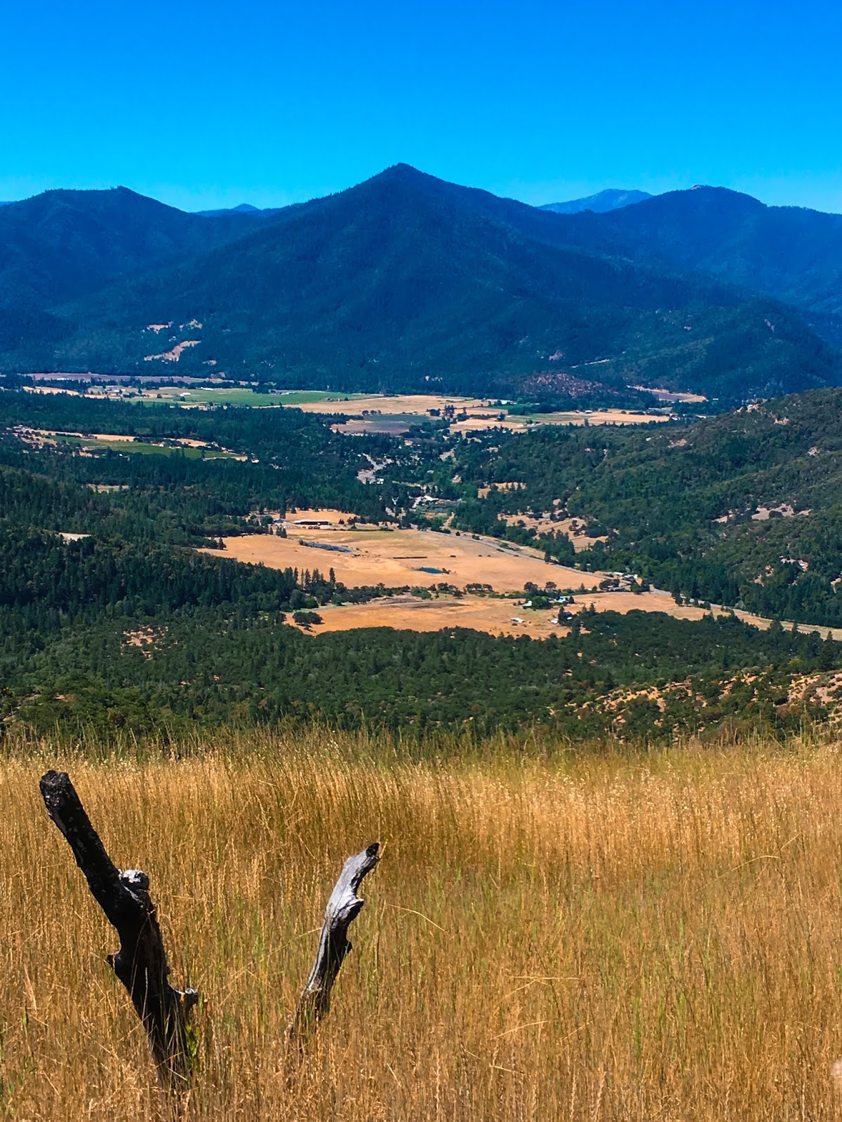 Everything Oregon (and Beyond): Applegate Ridge Trail (ART) East