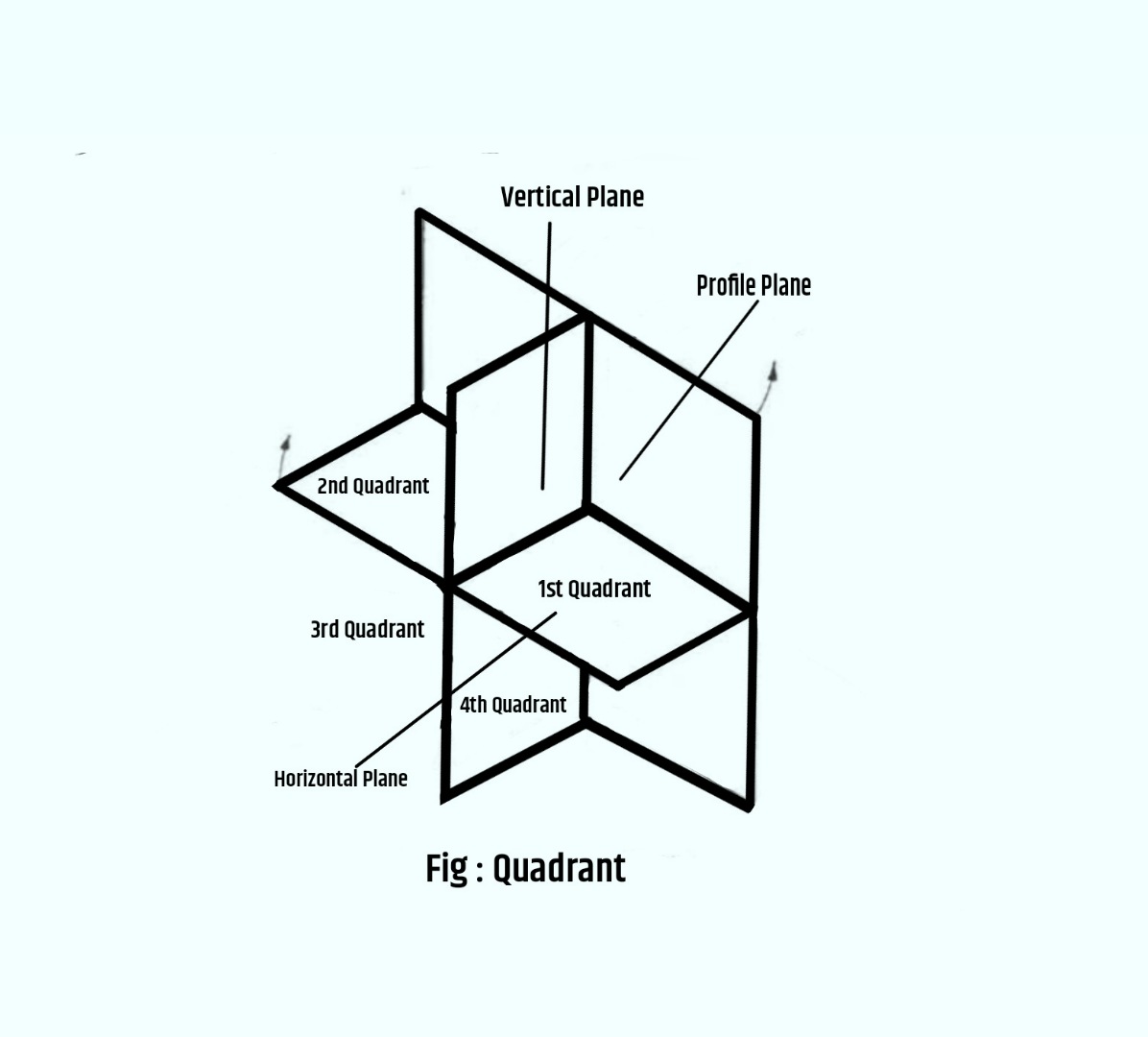 What Is Projection And Its Types