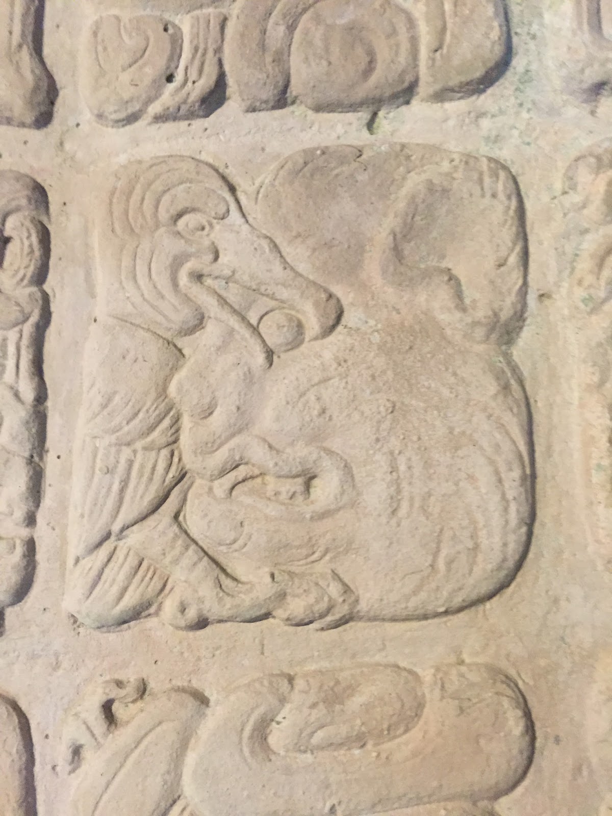 The Birdchaser: Classic Maya Birds, Ruins and Museum at Palenque
