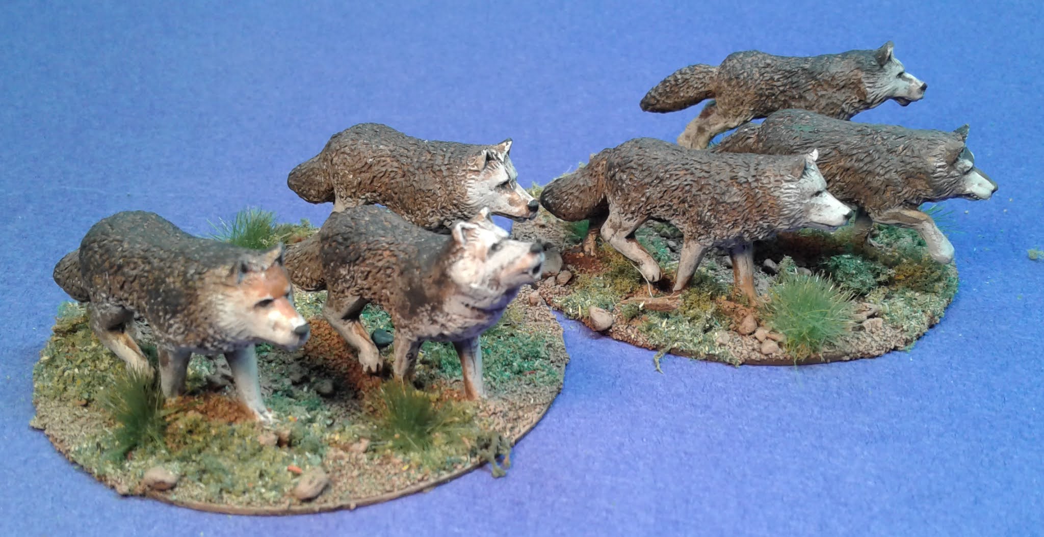 Rabbits In My Basement: Wolf Packs!