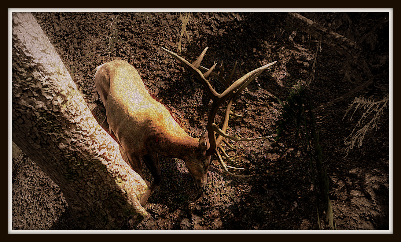 HUNTER-LEGEND: Wapitis.