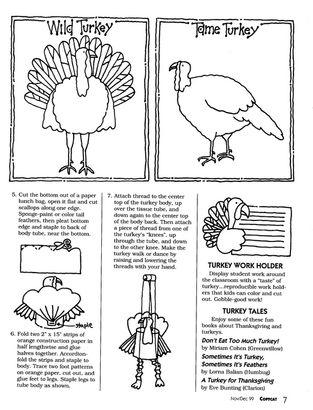ELEMENTARY SCHOOL ENRICHMENT ACTIVITIES: WILD ABOUT TURKEYS