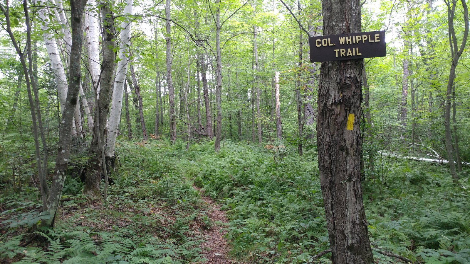 Along the NET-Cohos: NH Cohos Trail: Pondicherry Wildlife Refuge