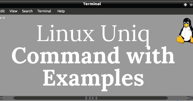 Methods to Use Uniq Command in Linux with Examples | LPI Central