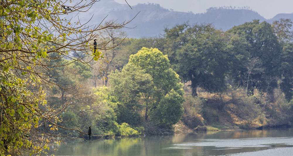 wild travels: Bhor Rajwada