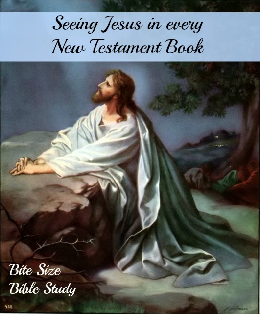 Bite Size Bible Study: Jesus' Role in Every New Testament Book