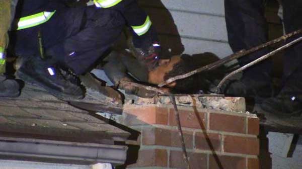 Nothing To Do With Arbroath: Man rescued after getting stuck in chimney