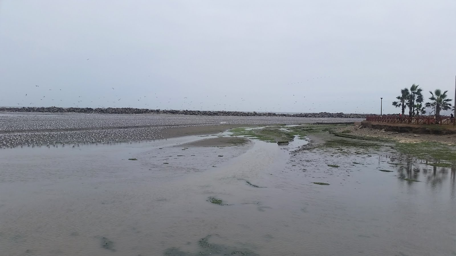 Marine Sediments: Lecture: Deep sea sediments