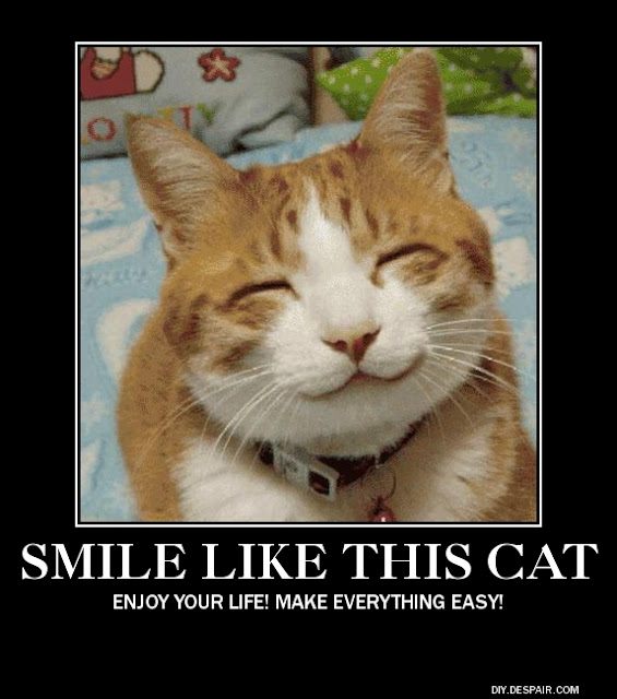 Viral Share: Smile Like This Cat - Enjoy Your Life