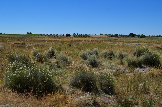 ALMANAQUE NATURAL: octubre 2015