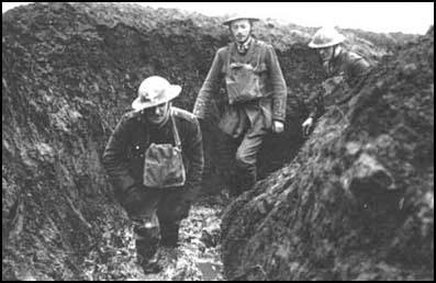 Room 8's Blog: Life in the Trenches