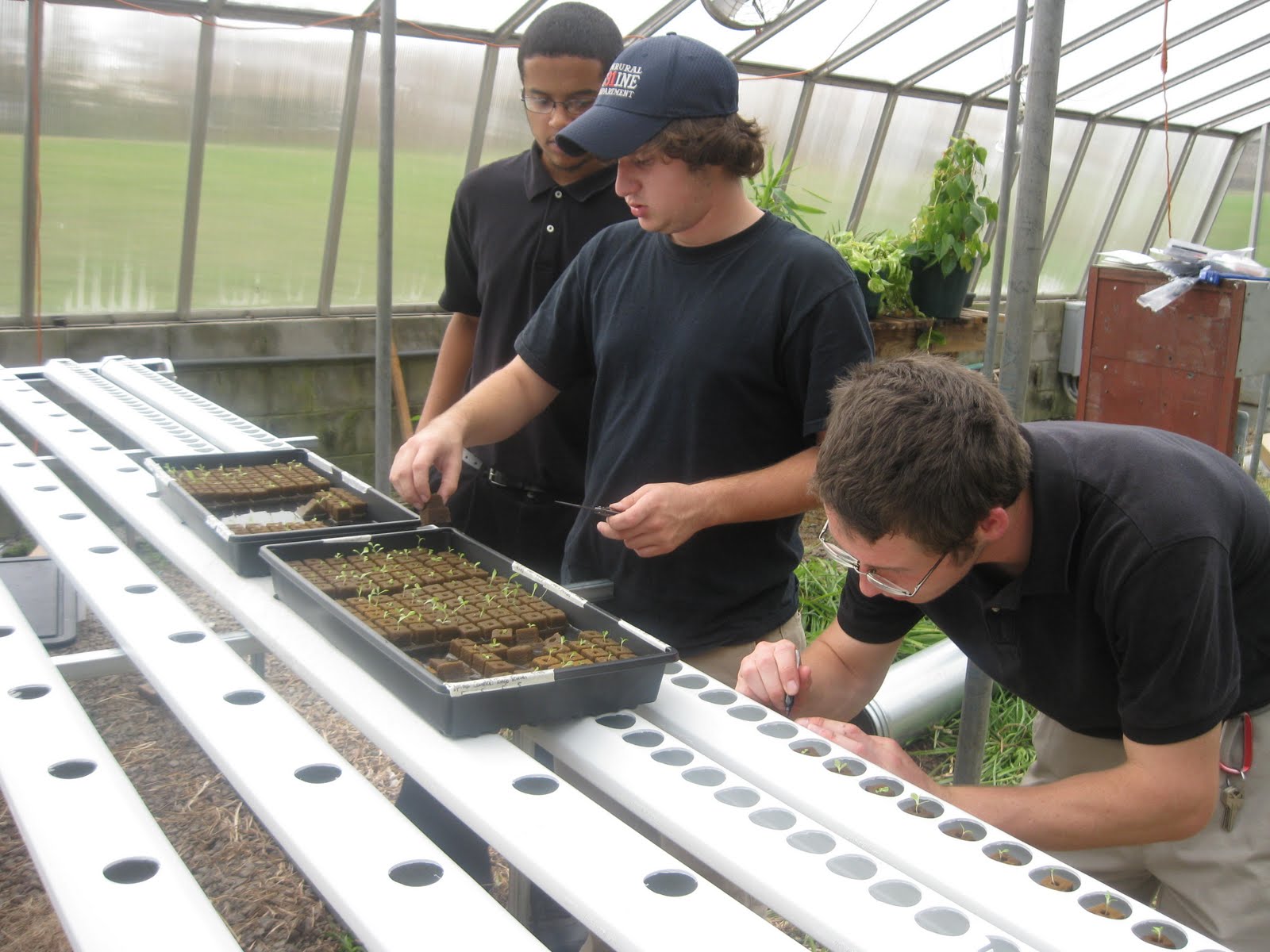 Agriculture Advanced Studies Hydroponics Project
