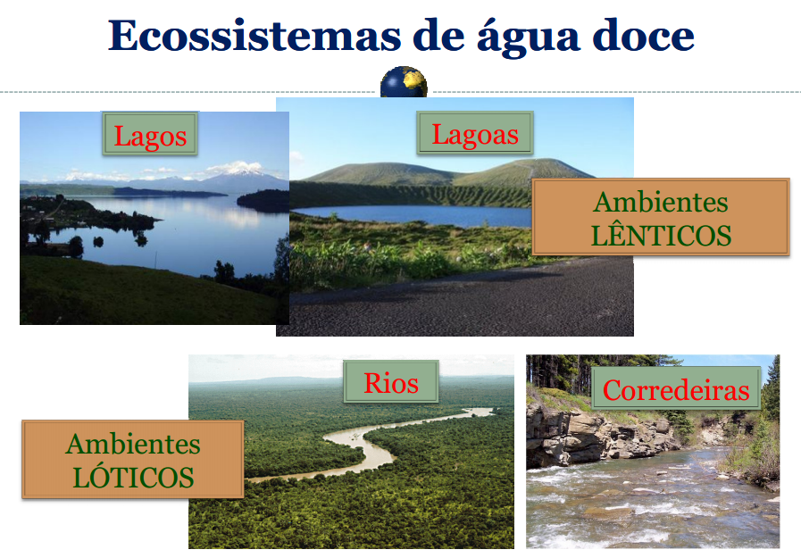 Biologia Viva: Ecossistemas Aquaticos