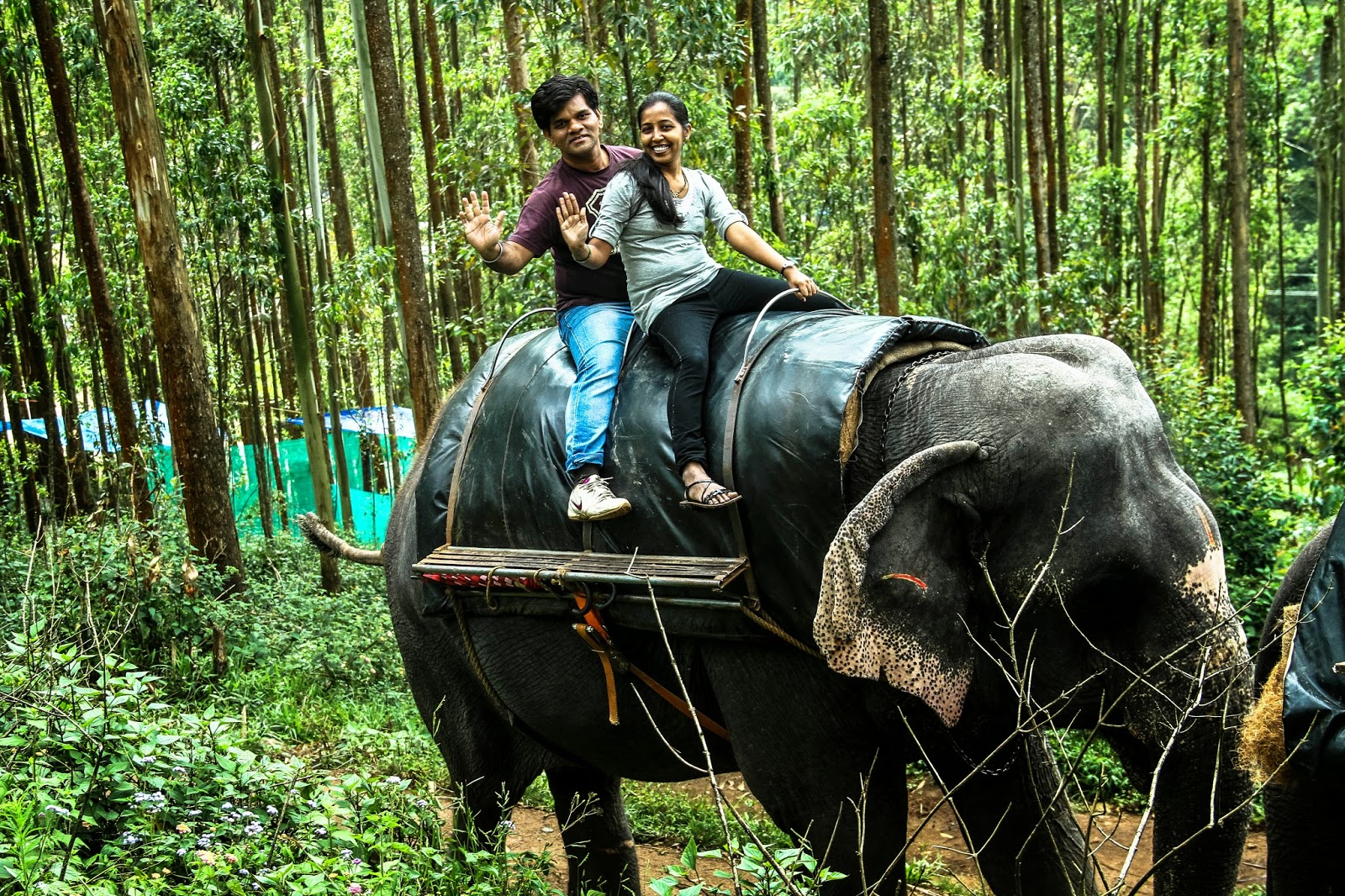 35 Things To Do In Munnar For A Great Vacay In 2023!