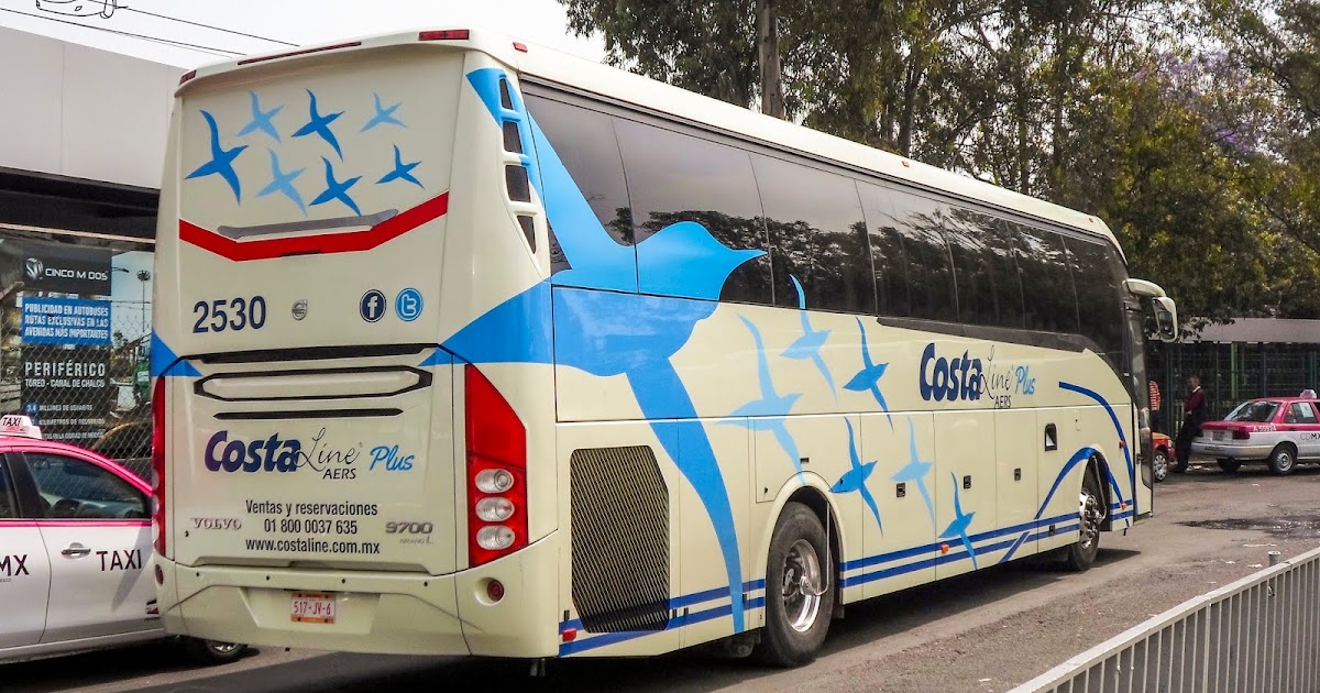 MAXIBUSES: COSTA LINE PLUS