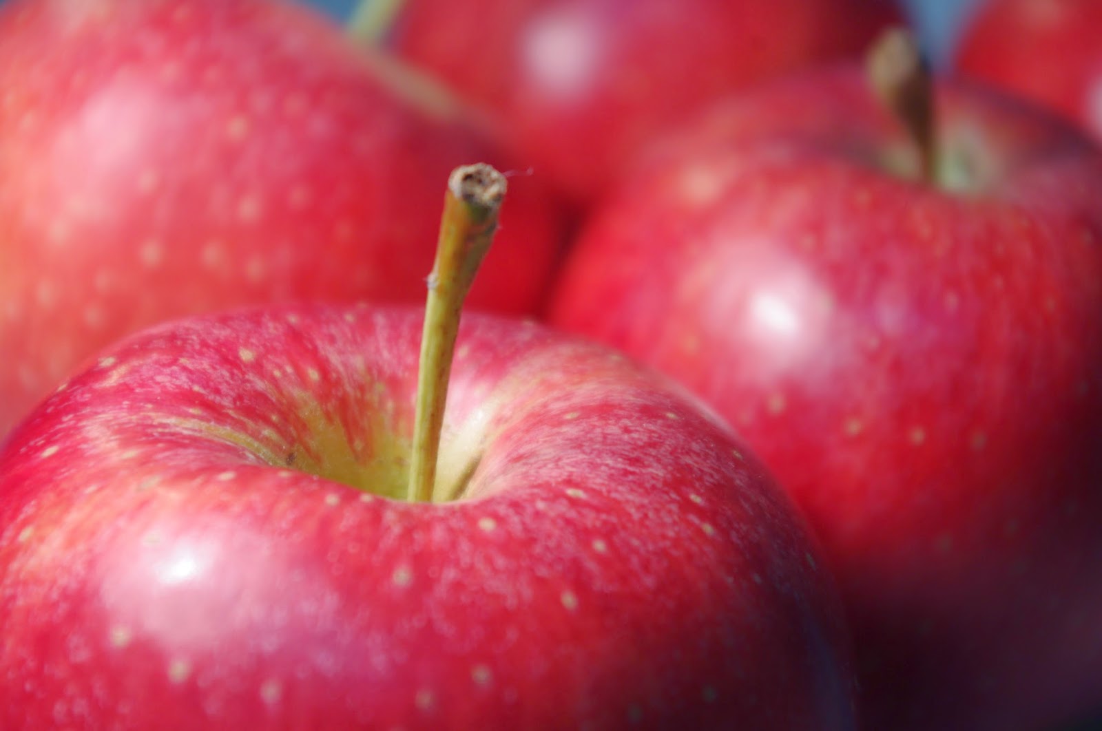 Explora Gourmet: Compota de manzana y pera