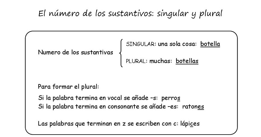 Cositas de AL y PT: El número de los sustantivos 02