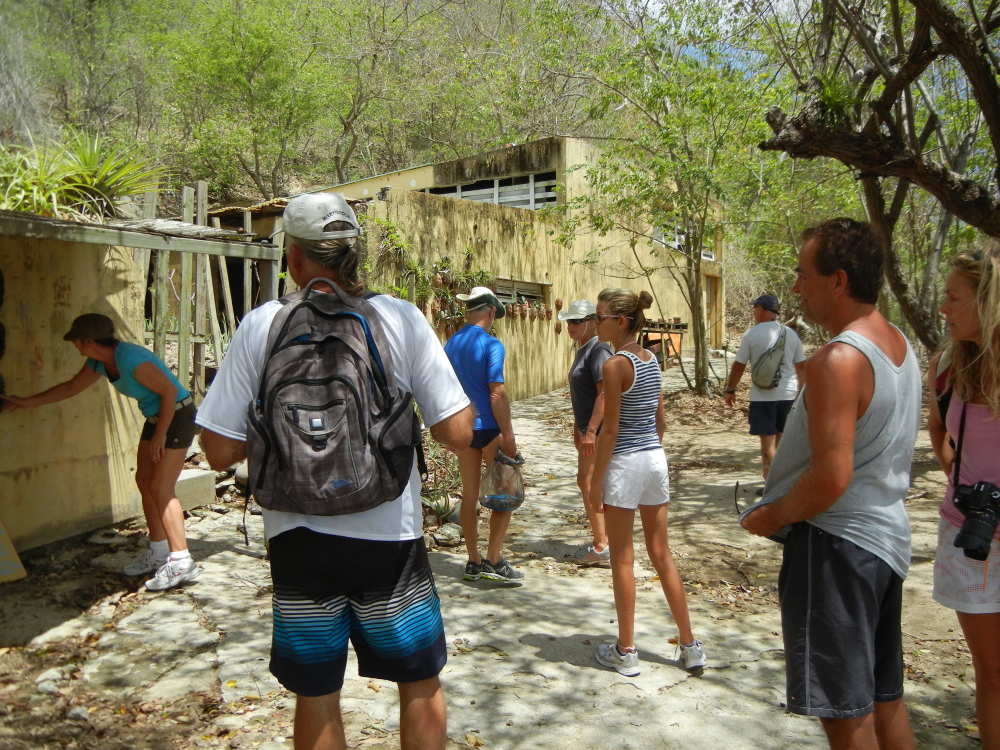 PRANA: Guadeloupe (Les Saintes, Ilet Cabrit) - Visite sur l'île - Le 23 ...