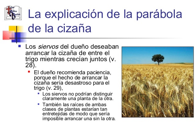 Proyecto MARES: La cizaña