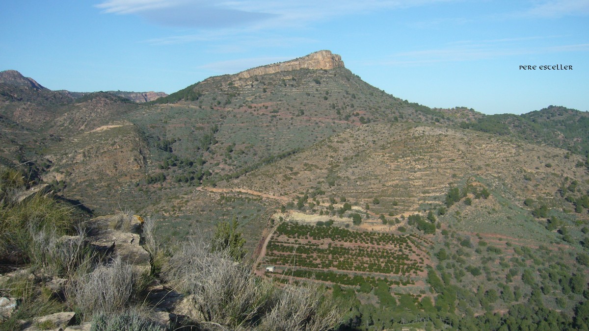PENYA ROJA | Al Sur De La Calderona