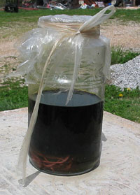 Chigger Junction: Acid Stain Using Copper