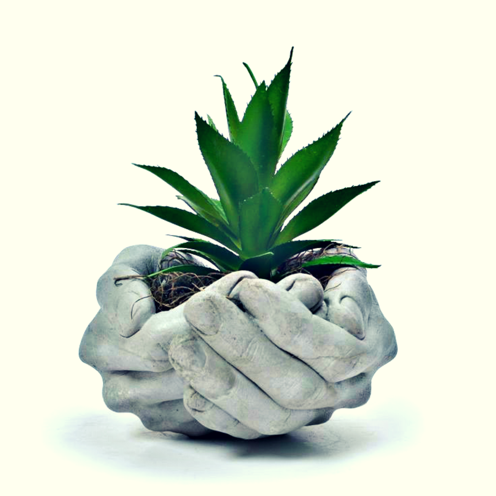 Pot Tanaman Lucu dan Unik - idrora