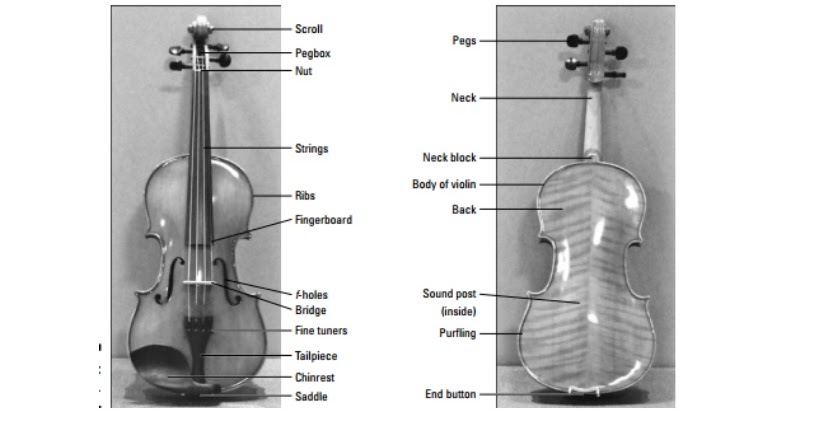 Mengenal Bagian - bagian Biola | Belajar Biola dan Musik Klasik