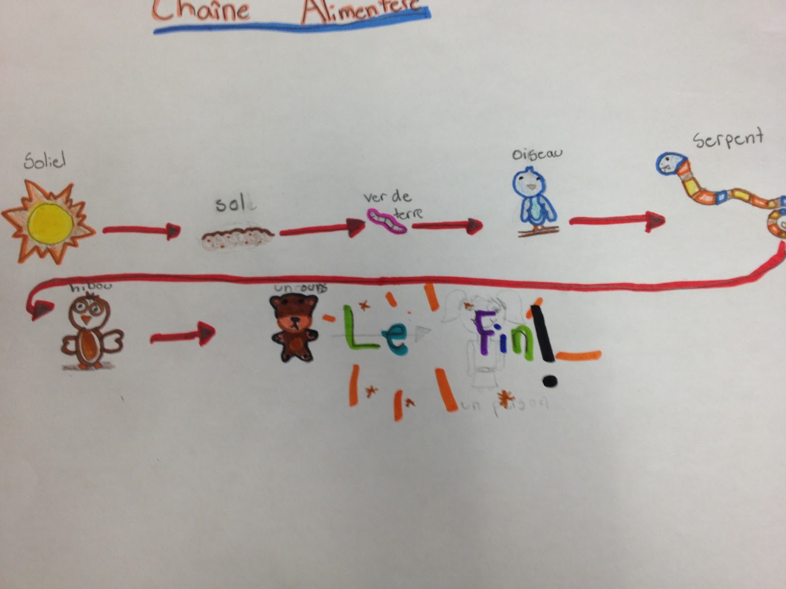 French is Fun: Fun With "les chaînes alimentaires" (food chains)