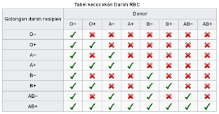 Sistem Penggolongan Darah ABO dan Rhesus? Apa Itu? | Senarainya Trinur