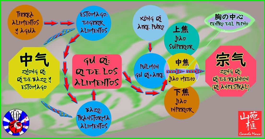 ZHONGQI y ZONGQI: QÌ CENTRAL y QÌ de REUNIÓN.