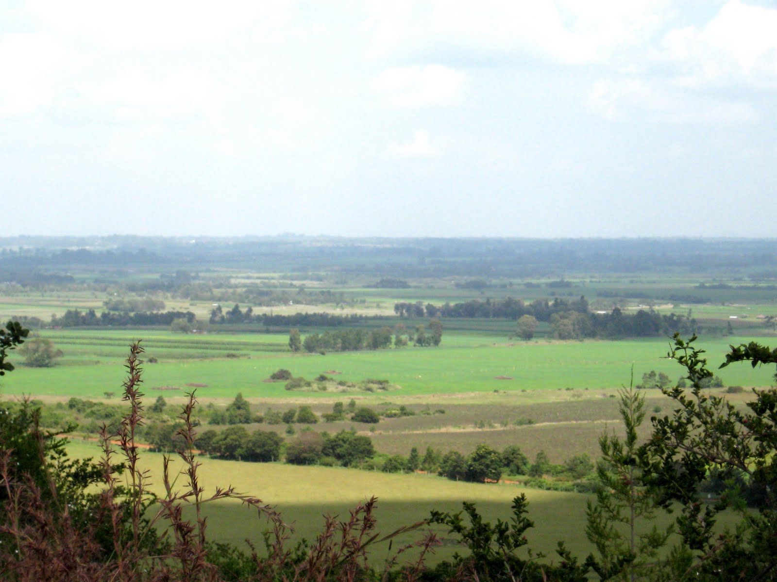 Kenya IUPUI 2011: Krueger Farms, Proposed Sergoit Resort Site: Sergoit ...
