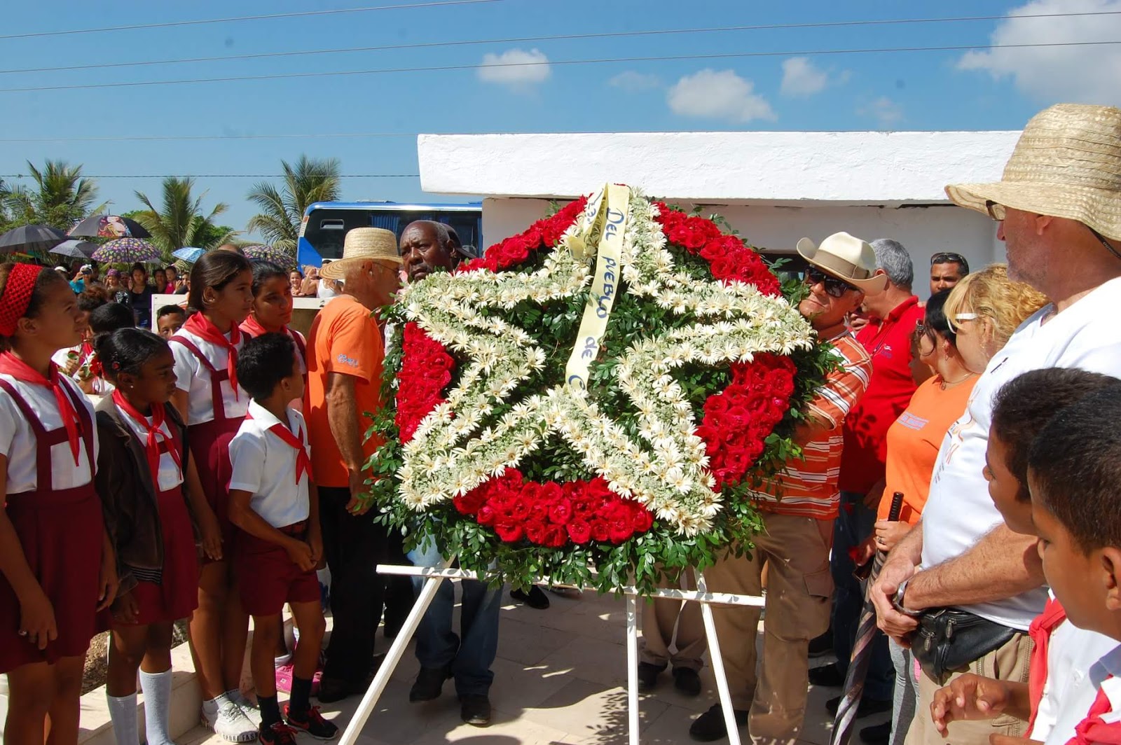 Blog Caracol de Agua: Colmenita y Tin Cremata en Remanganaguas sin ...