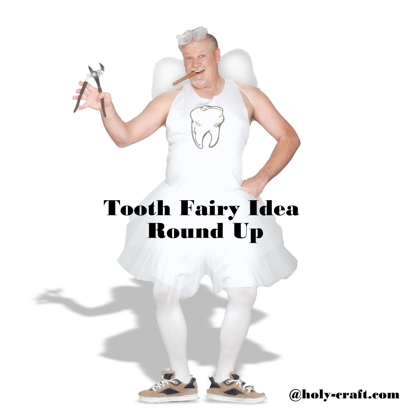 Diy Tooth Fairy Costume