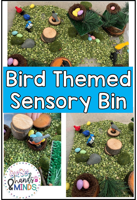 Birds Preschool Theme | Busy Hands and Minds