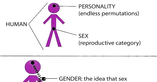 The New Backlash: 3. Imagining a world without gender