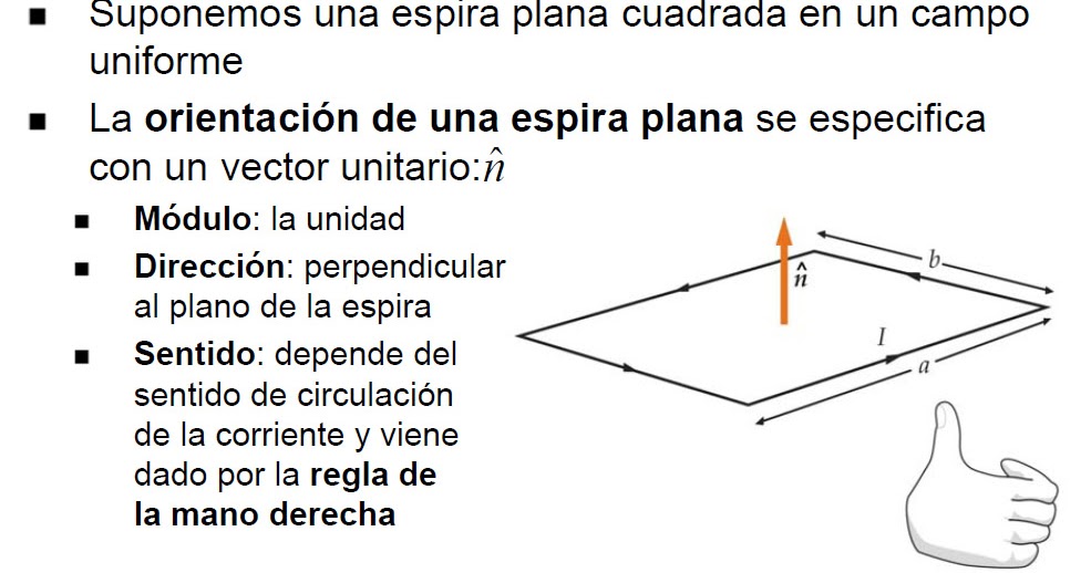 EL FÍSICO LOCO: Fuerza y momento sobre una espira
