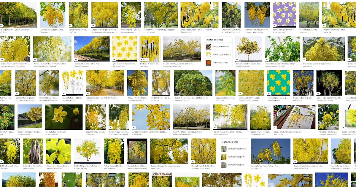 Xfrog tutorials - vid02 - Build tree from scratch