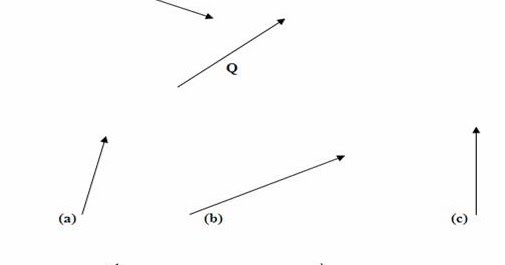 AP Physics Resources: Multiple Choice Practice Questions on Vectors for ...