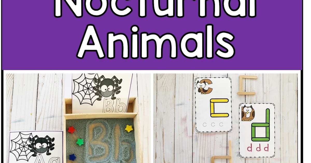 Nocturnal Animals Preschool Theme | Busy Hands and Minds