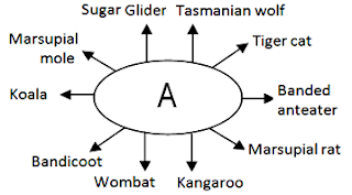 Evolution | Class 12 | Sample Questions and Answers