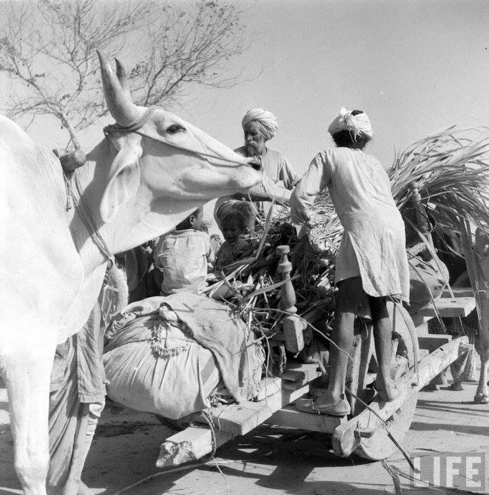 14 August 1947 pictures / HISTORY OF PAKISTAN AND INDIA IN PICTURES ...