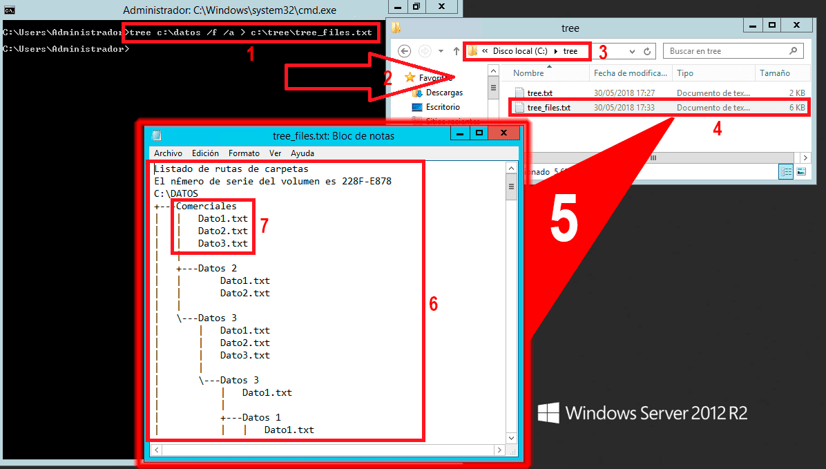 Pantallazos.es: Microsoft Windows CMD: TREE listar Árbol de directorios.