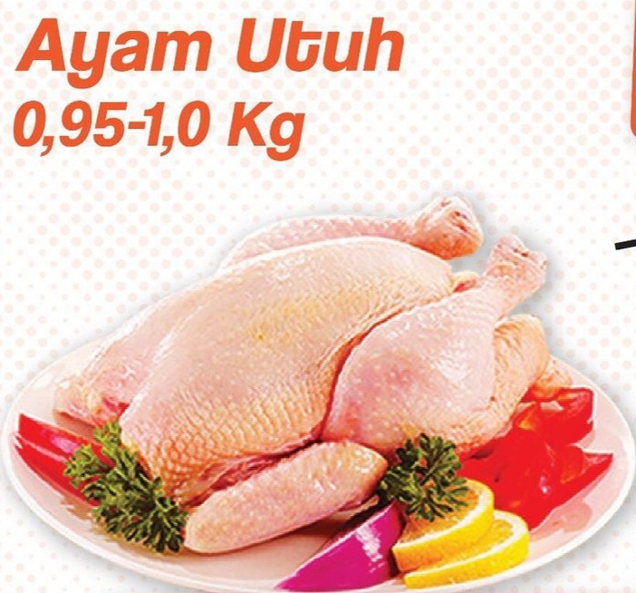 Ayam utuh ukuran 700 s/d 800 gram - Kios Unggas Depok