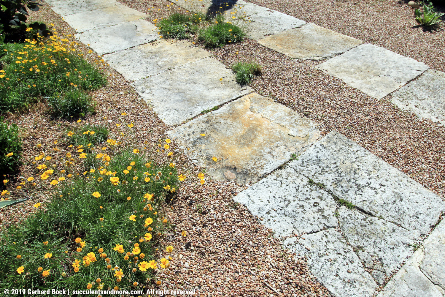 Jackson Broussard: a landscape designer's personal garden