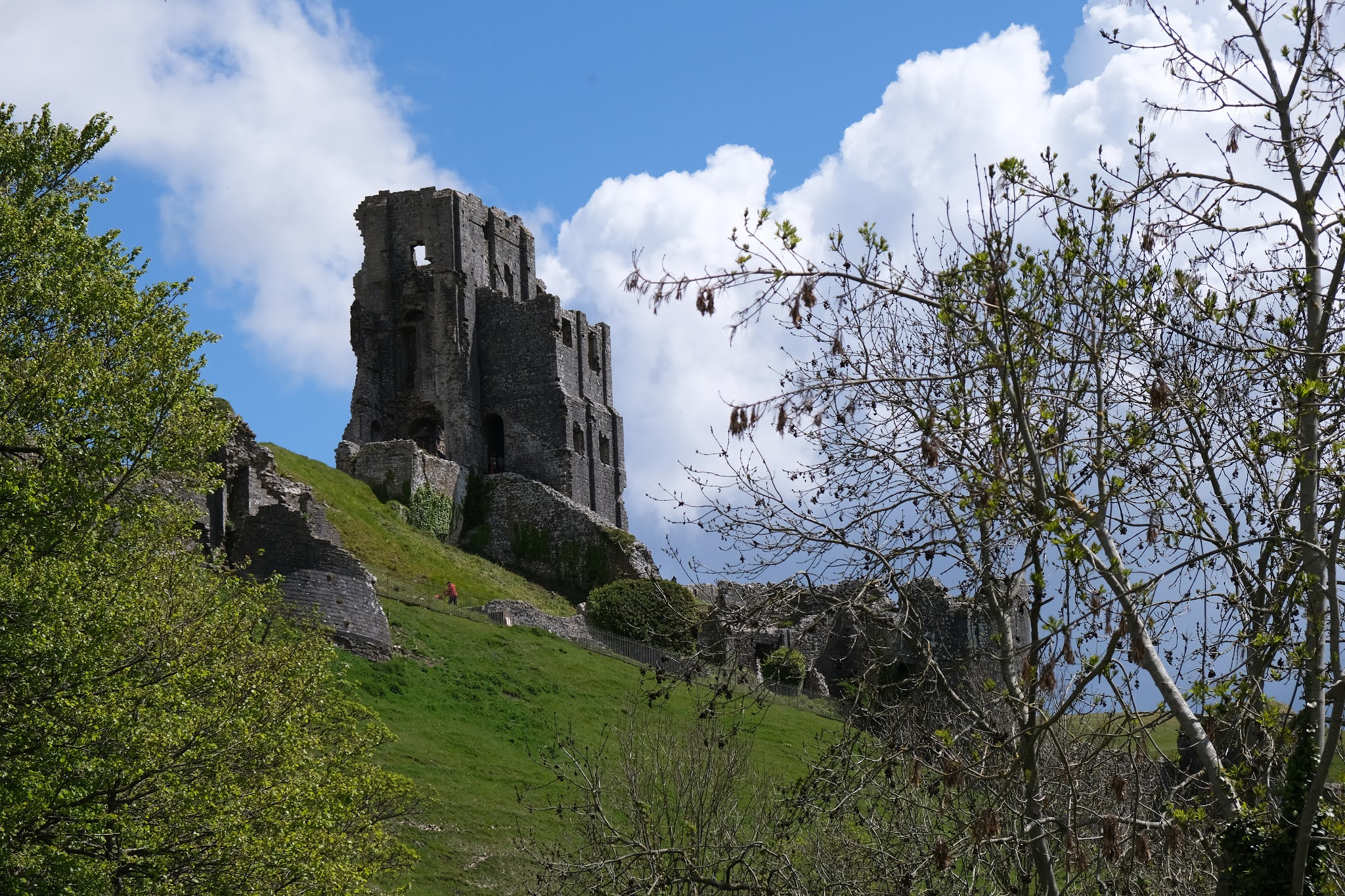 Walking in the country: Corfe Castle and Church Knowle