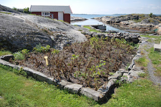 Telemarks og Grenlands historie: På oppdagingsferd langs ...