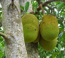 Simple Ukwa African Breadfruit Porridge | Chic African Culture